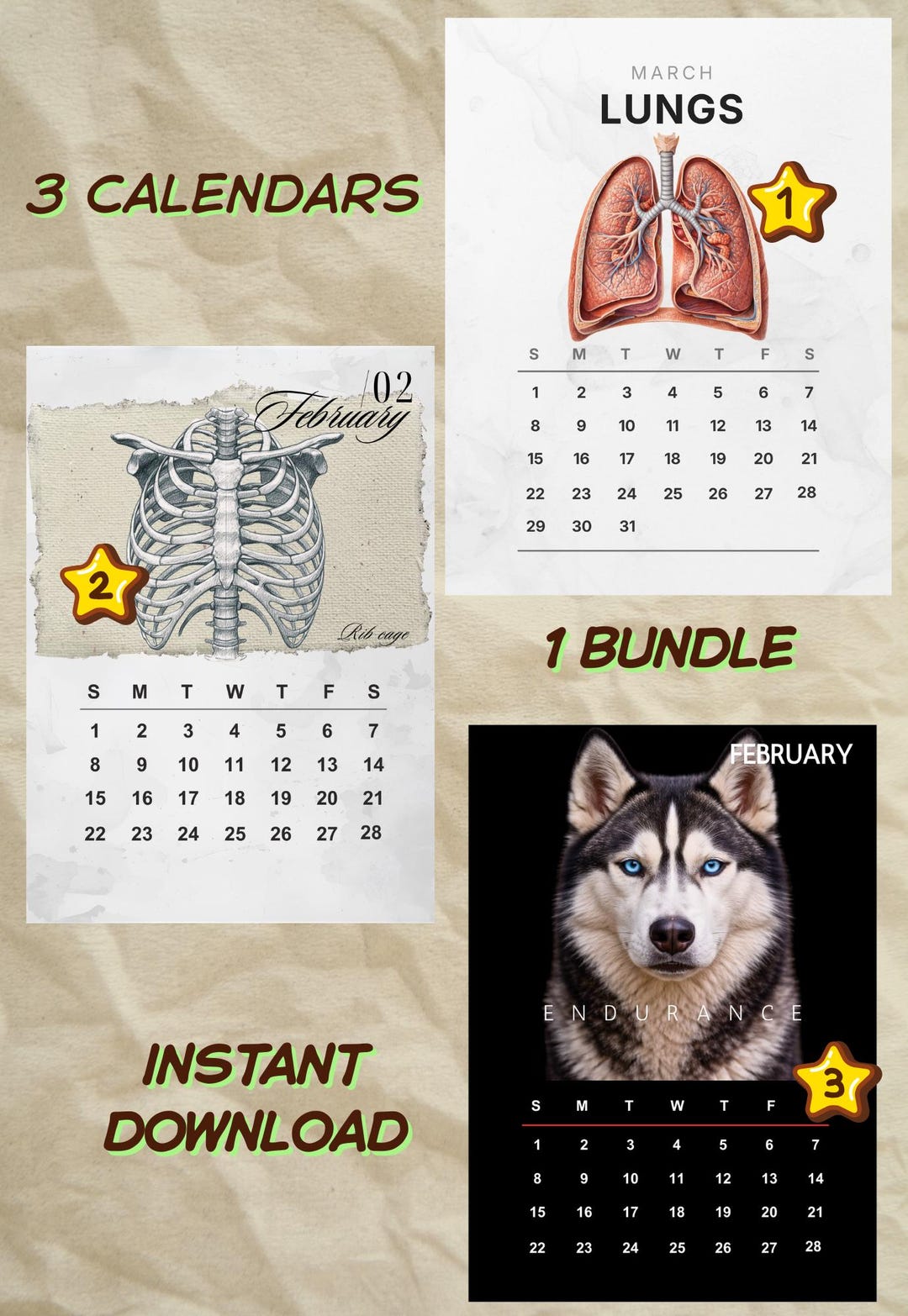 2026 Calendar Mega Bundle 3 in 1 | Wildlife, Anatomy & Skeleton Art - Etsy