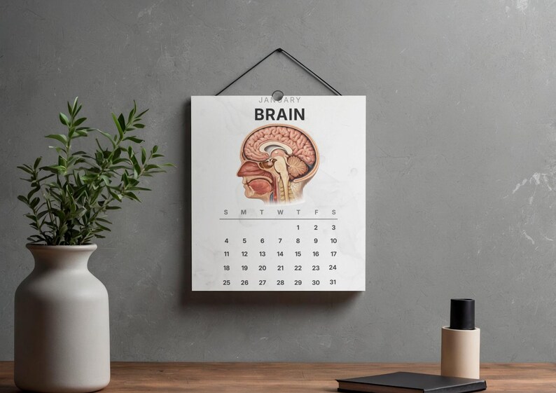 2026 Human Anatomy Organs Wall Calendar – Educational Science Printable ...