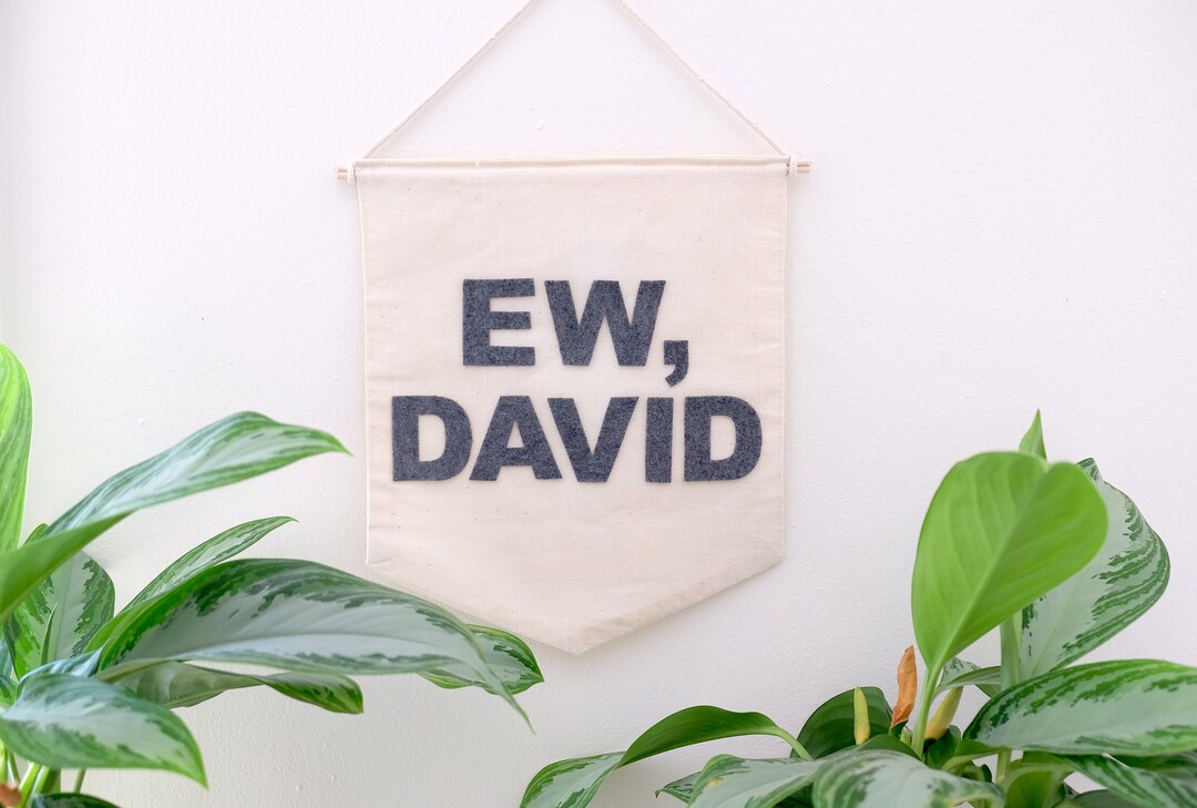 Schitt's Creek Ew, David Wall Banner Home Decor Gift Any Occasion - Etsy