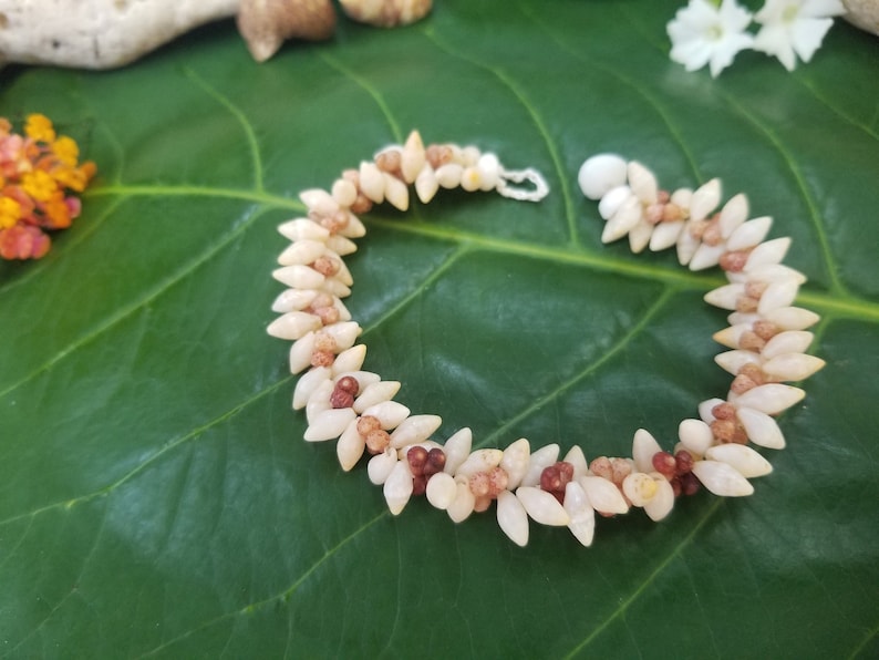 Kahelelani Shell Bracelet: Laiki Shells Kahelelani Shells, Puka Shells ...