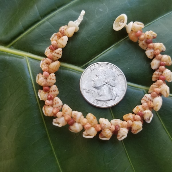 Shell Bracelet - Etsy