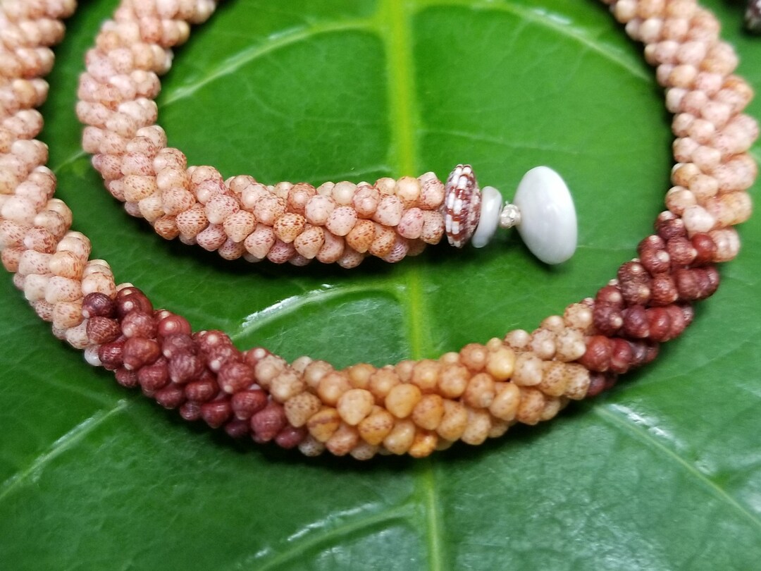 Shell Necklace Rare Shells Shell Lei Kauai Shells Hawaiian Shell Lei ...
