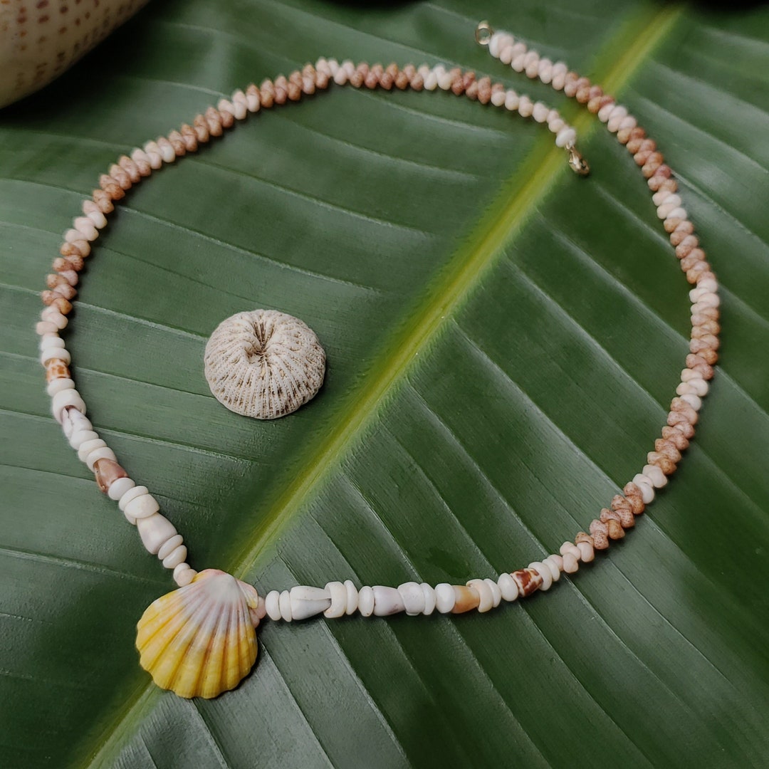 Sunrise Shell Lei Kauai Kahelelani Shell Lei Hawaii Shells Beach ...