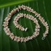 Kahelelani Shell Laiki Shell Lei Kahelelani Necklace Rare Laike Shell ...