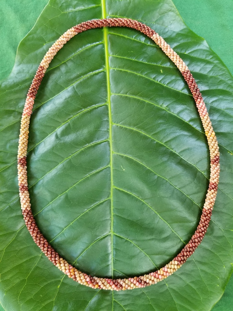 Kahelelani Shell Lei: 25.5' Inch, Kauai Shells, 50lb Nylon String, Four ...