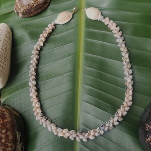 Shell Necklace Kauai Momi Shell Lei Momi Necklace Rare Momi Shell ...