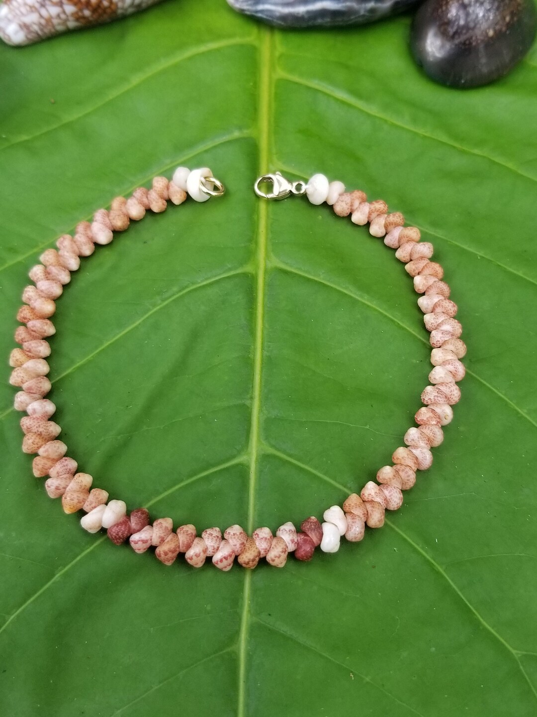 Kahelelani Shell Anklet Kahelelani Shells Beach Anklet Hawaii Shell ...