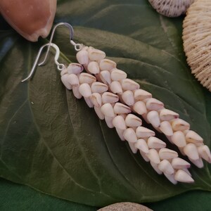 Shell Earrings Hawaiian Style Jewelry Eco Friendly Collected Kauai ...
