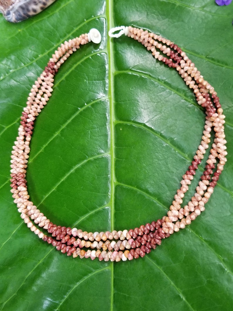 Kahelelani Shell Lei: Rare Hawaiian Shell Necklace, Kauai Jewelry - Etsy