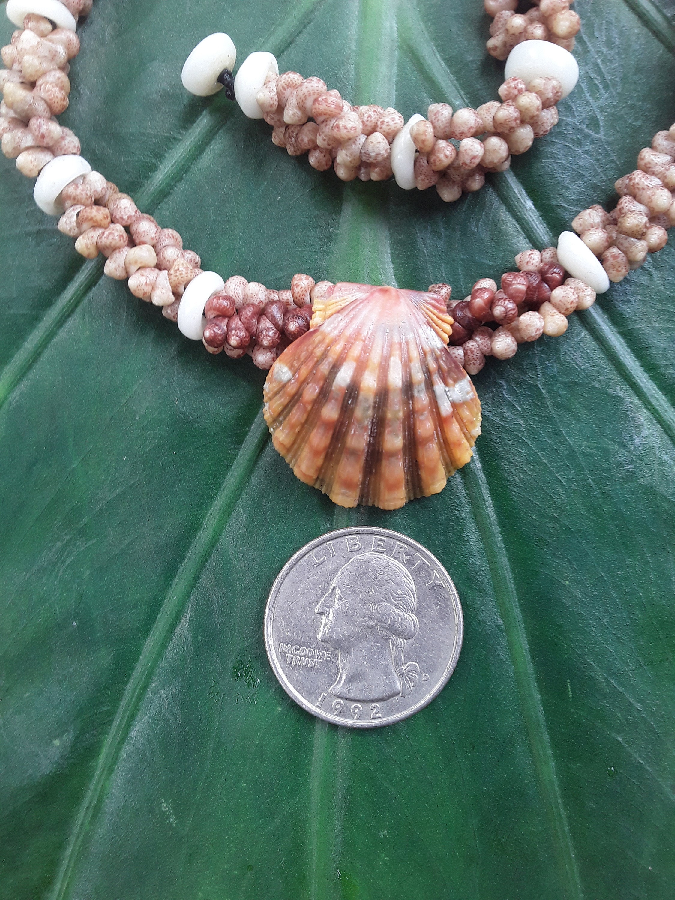 Sunrise Shell Lei Kauai Kahelelani Shell Lei Hawaii Shells | Etsy