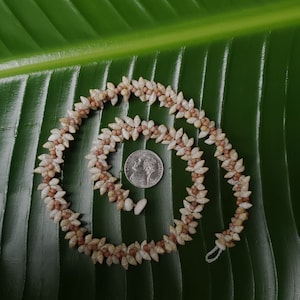 Kahelelani Shell Laiki Shell Lei Kahelelani Necklace Rare Laike Shell ...