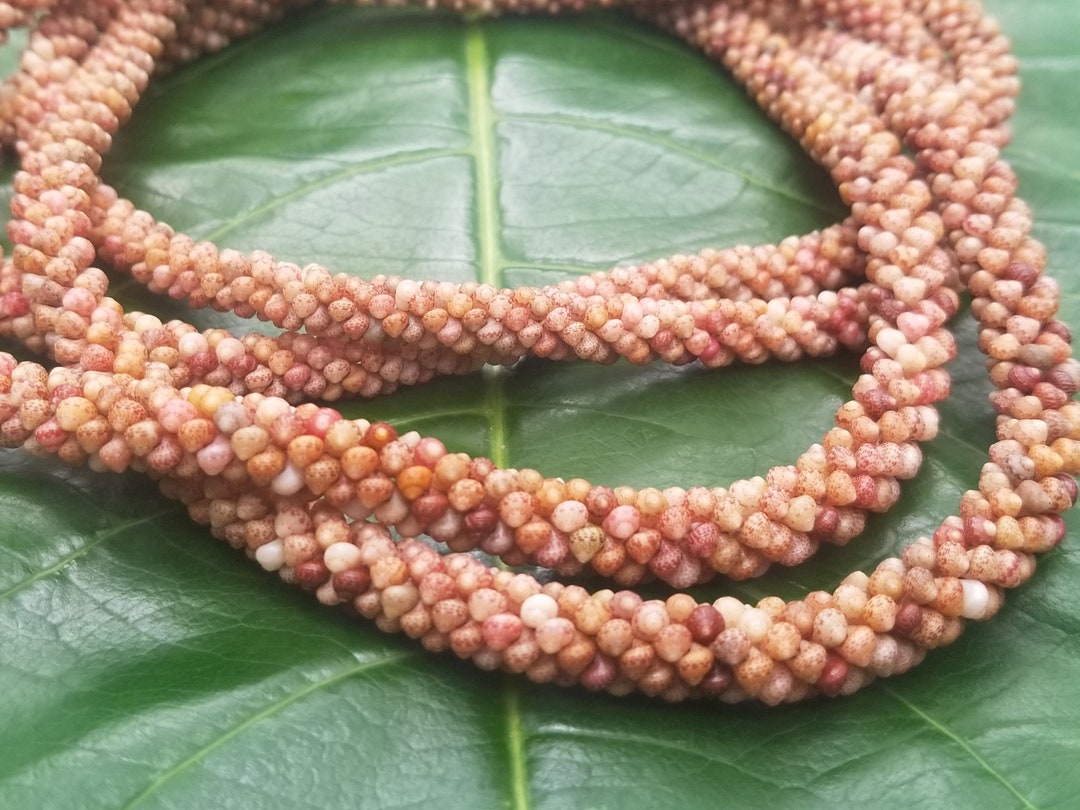 Shell Necklace Rare Shells Shell Lei Kauai Shells Hawaiian Shell Lei ...