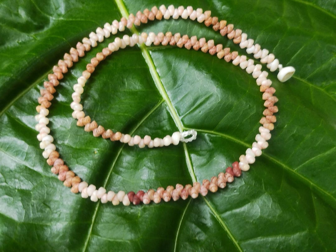 Kahelelani Shell Lei: Kahelelani Shells, Puka Shells, Hawaiian Shell ...