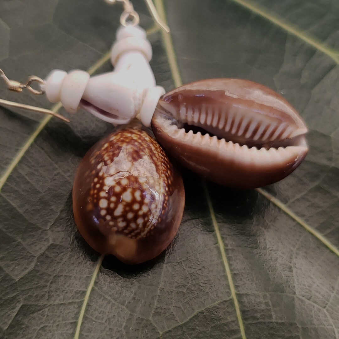 Puka Shell Earrings Hawaiian Cowrie Jewelry Eco Friendly Collected ...