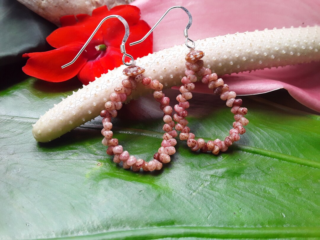 Shell Earrings Kauai Beach Earrings Rare Shells Hoop Earrings Authentic ...