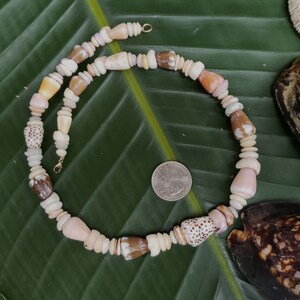Puka Shell Necklace Puka Shell Lei Kauai Puka Shell Jewelry Rare Shells ...
