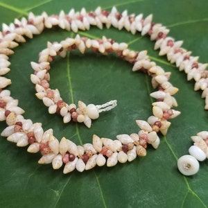 Laiki Shell Lei: Kahelelani Shells, Laiki Shells, Puka Shells, 50lb ...