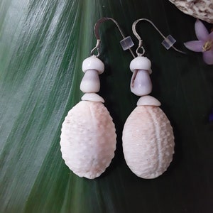 Granulate Cowrie Earrings Puka Shell Earrings Puka Shell Jewelry Hawaii Shells Kauai Puka Shell ...