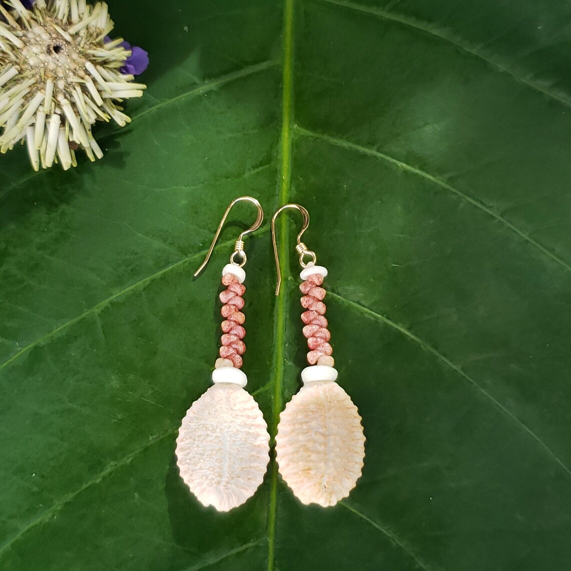 Granulate Cowrie Shell Earrings: Pink Kahelelani Shells, Puka Shells ...