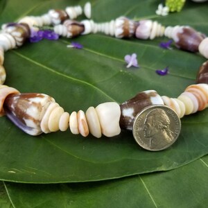 Puka Shell Necklace Puka Shell Lei Kauai Puka Shell Jewelry Rare Shells ...