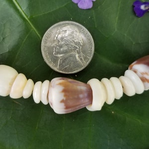 Puka Shell Necklace Puka Shell Lei Kauai Puka Shell Jewelry Rare Shells ...