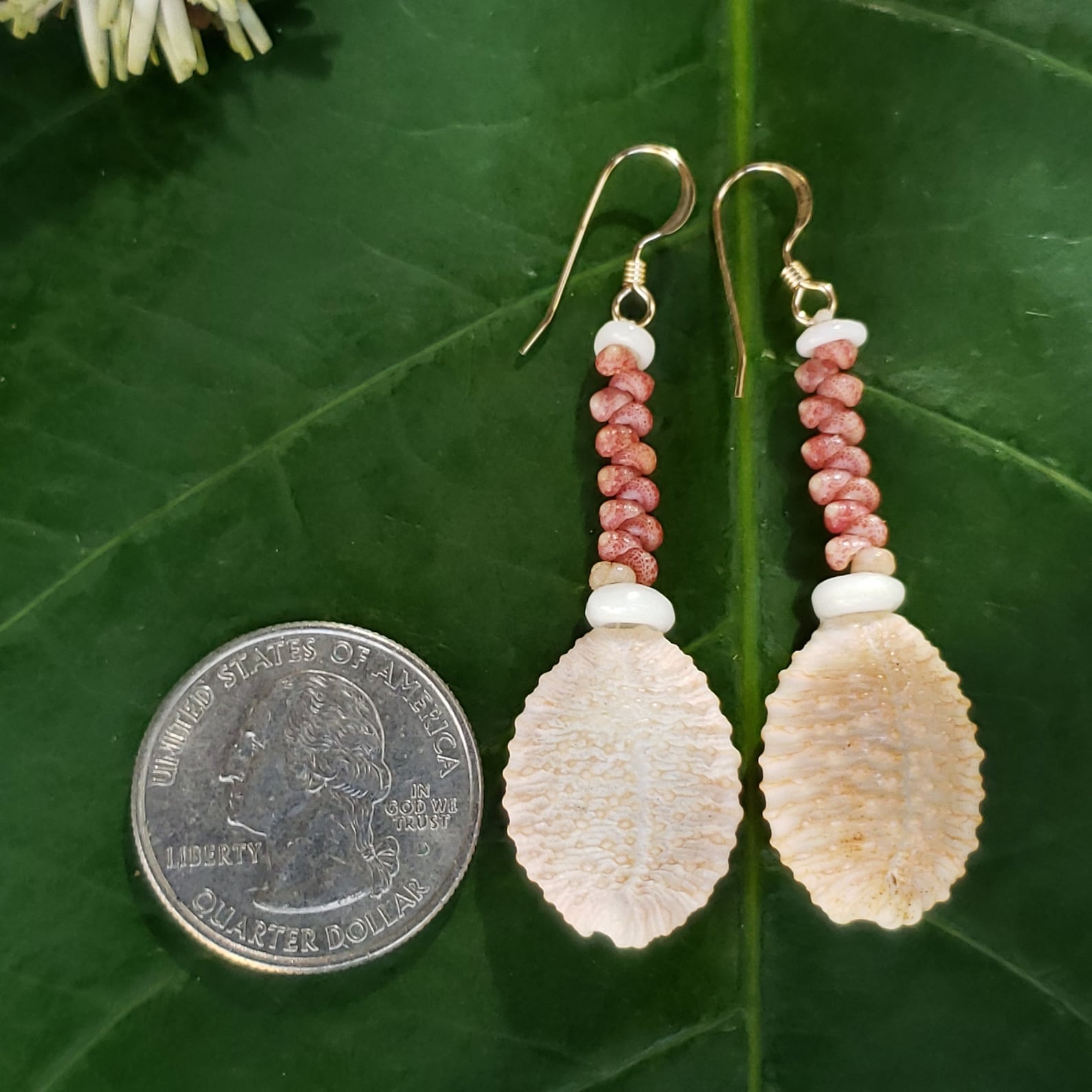 Granulate Cowrie Shell Earrings: Pink Kahelelani Shells, Puka Shells ...