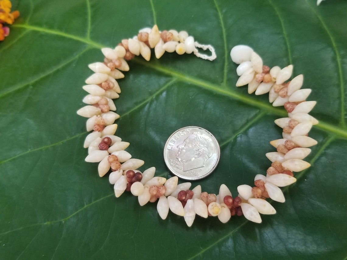 Kahelelani Shell Bracelet: Laiki Shells Kahelelani Shells, Puka Shells ...