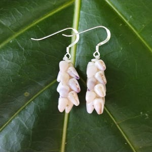Puka Shell Earrings Hawaiian Style Jewelry Eco Friendly Collected Handmade on Kauai Mermaids ...