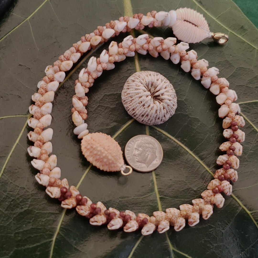Kahelelani Shell Necklace Kahelelani Shell Jewelry Shell Necklace Kauai ...