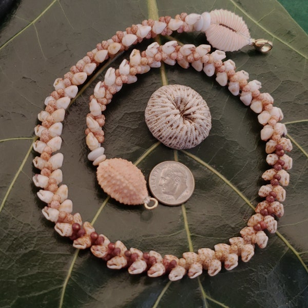 Niihau Shell Necklace - Etsy