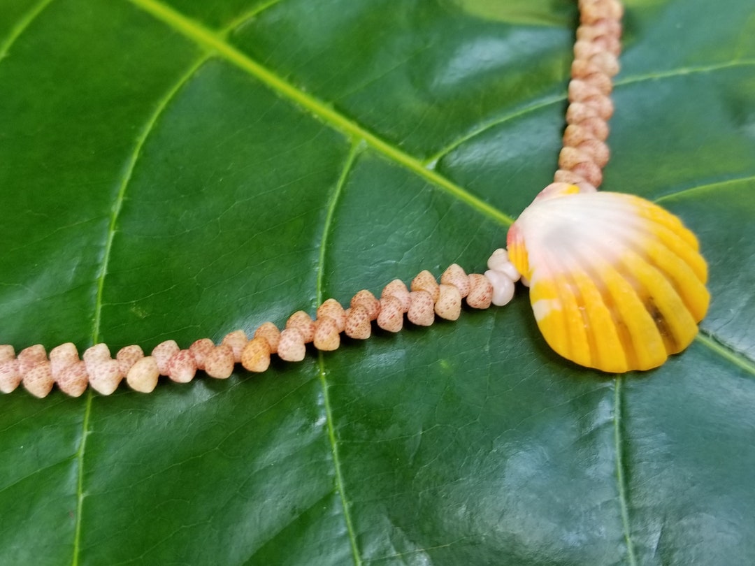 Sunrise Shell Lei Kauai Kahelelani Shell Lei Hawaii Shells Beach ...