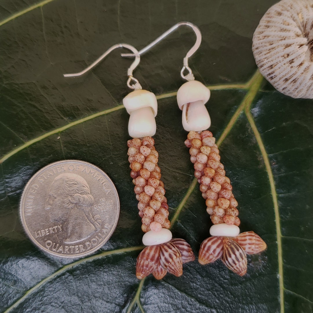 Kahalelani Shell Earrings Sea Shell Earrings Rare Shells Natural Art ...