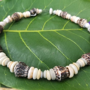 Puka Shell Necklace Puka Shell Lei Kauai Puka Shell Jewelry Rare Shells ...