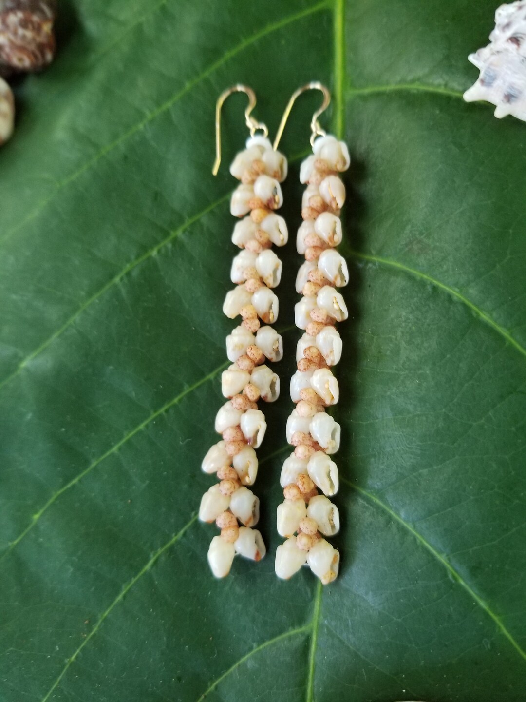 Shell Earrings Kauai Kahelelani Shell Earrings Hawaiian Momi - Etsy
