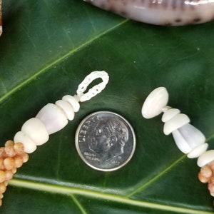 Kahelelani Shell Bracelet - Kauai Beach Jewelry Kauai Shells Rare Kauai ...