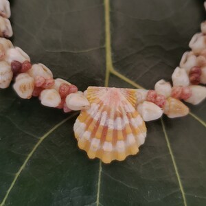 Momi Shell Bracelet Kahelelani Shell Bracelet Hawaiian Sunrise Shell ...