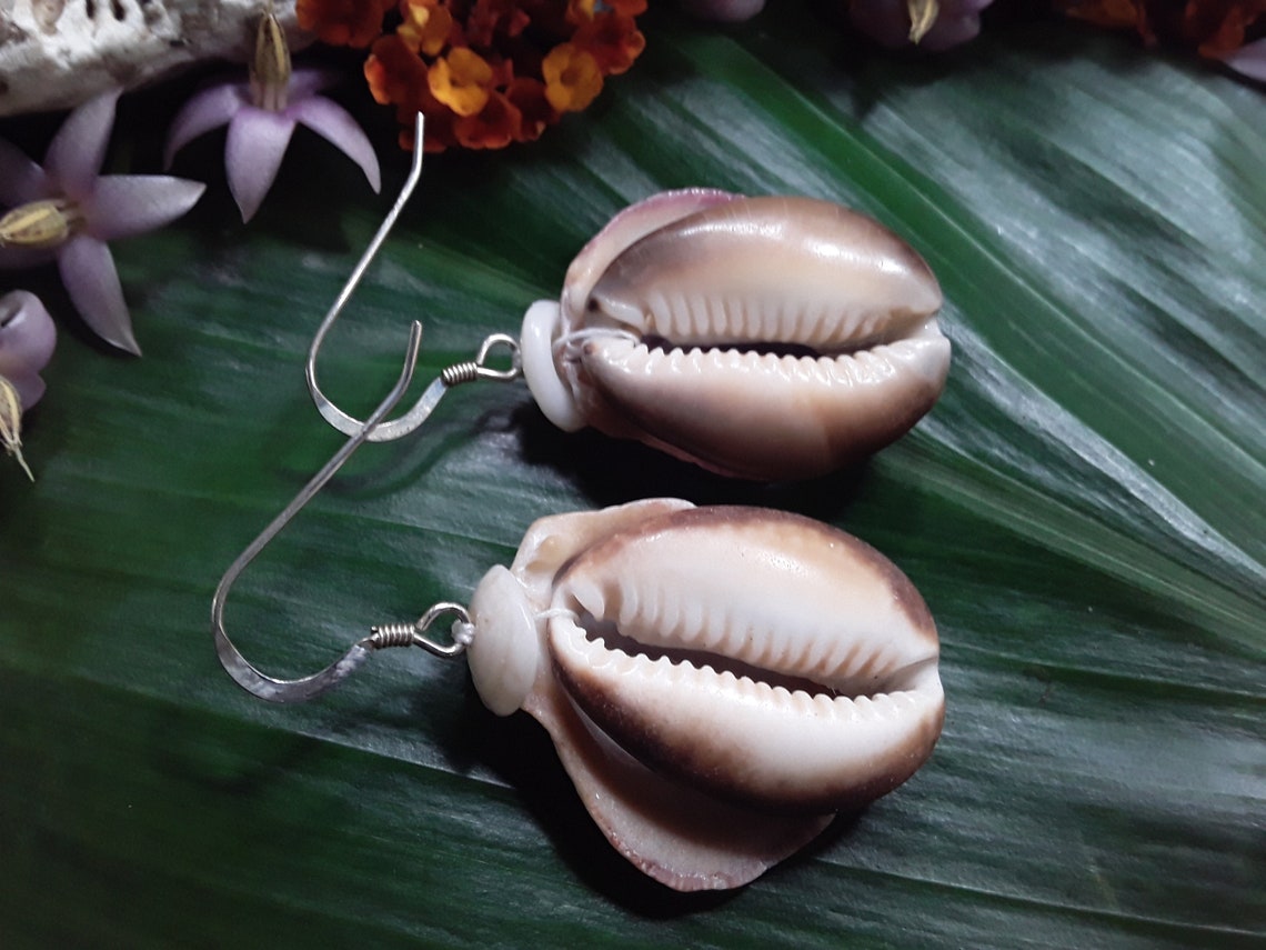 Puka Shell Earrings Cowrie Shell Earrings Hawaiian Style Kauai | Etsy