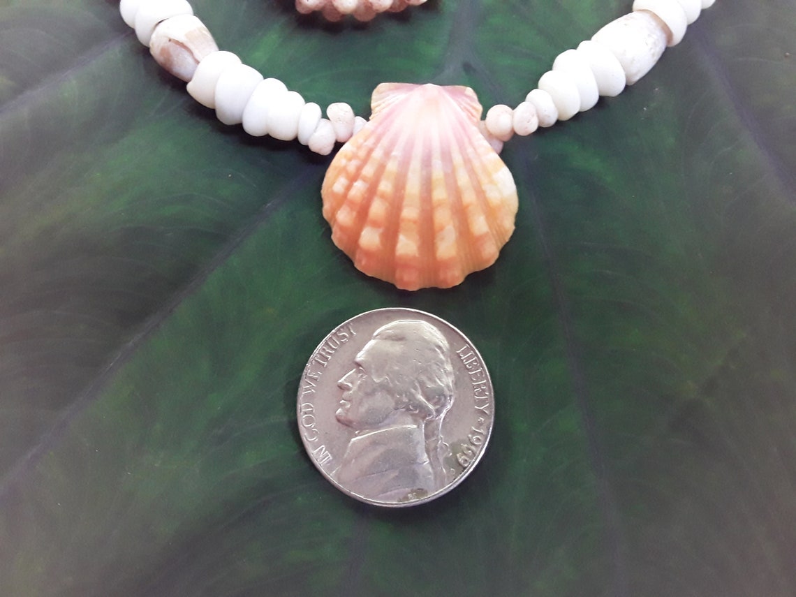 Sunrise Shell Lei Kauai Kahelelani Shell Lei Hawaii Shells | Etsy