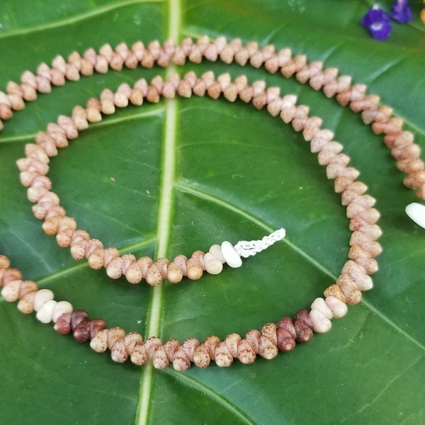 Shell Necklace - Etsy