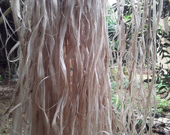 Hau Tree Cordage Material Hawaiian Rope Making Material Hau Bush ...