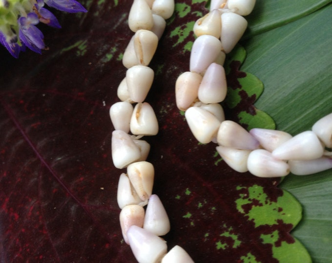 Cone Shell Necklace Pikake Weaved Kauai Made Eco Freindly Ocean Gifts ...