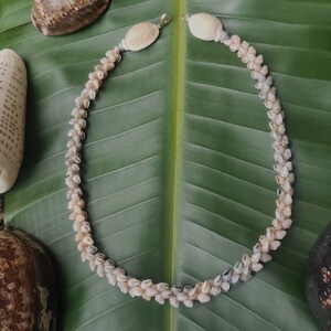 Shell Necklace Kauai Momi Shell Lei Momi Necklace Rare Momi Shell ...