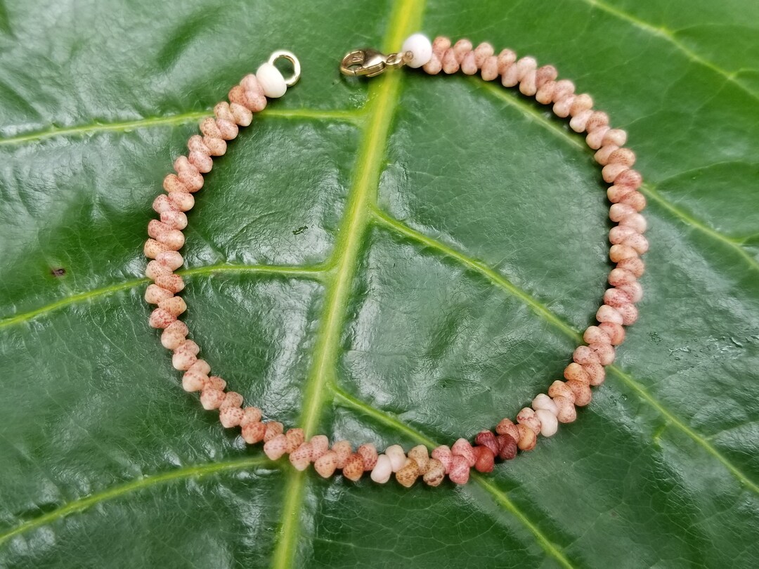 Kahelelani Shell Bracelet Sea Shell Bracelet Kauai Shell Jewelry Eco ...