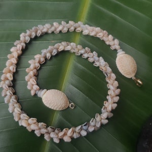Shell Necklace Kauai Momi Shell Lei Momi Necklace Rare Momi Shell ...