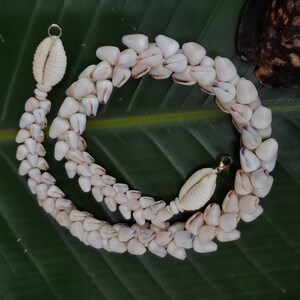 Puka Shell Necklace Puka Shell Lei Kauai Puka Shell Jewelry Rare Shells ...