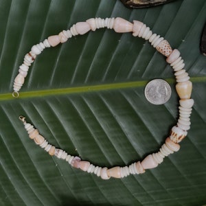Puka Shell Necklace Puka Shell Lei Kauai Puka Shell Jewelry Rare Shells ...