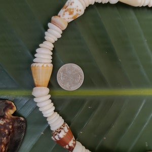 Puka Shell Necklace Puka Shell Lei Kauai Puka Shell Jewelry Rare Shells ...