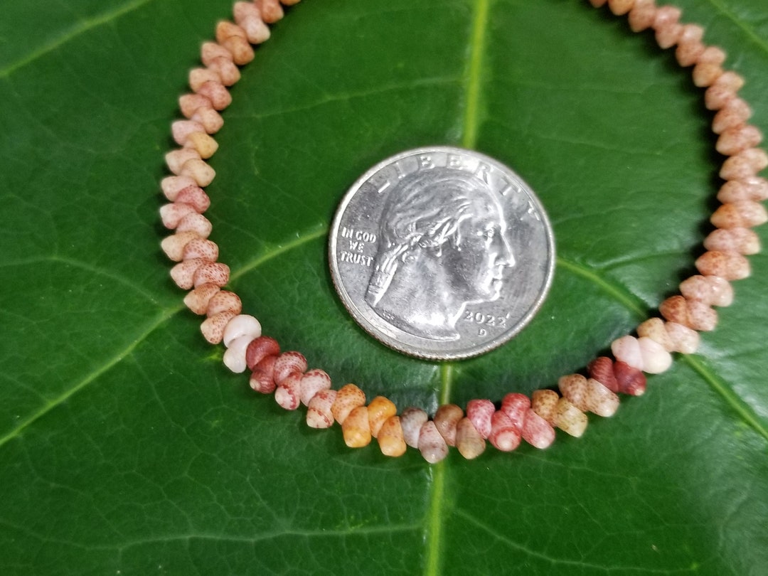 Kahelelani Shell Bracelet Sea Shell Bracelet Kauai Shell Jewelry Eco ...