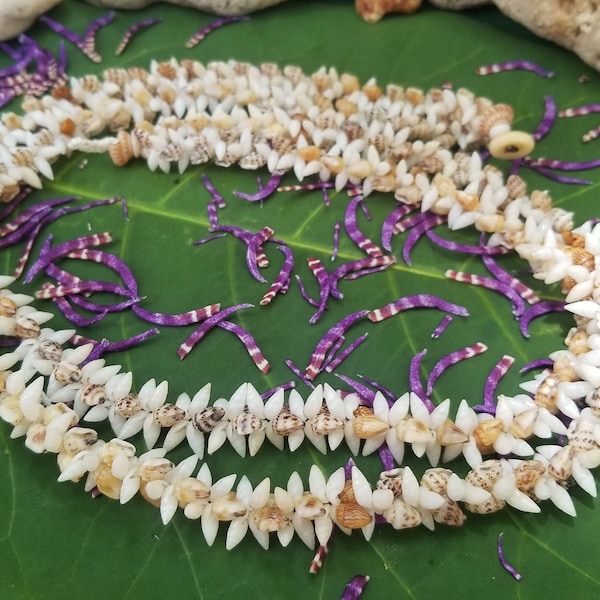 Niihau Shell Necklace - Etsy