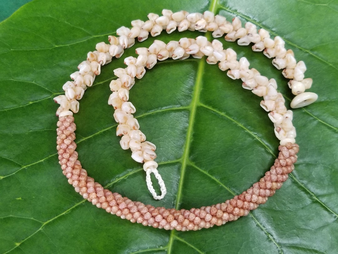 Shell Necklace Rare Shells Shell Lei Kauai Shells Hawaiian Shell Lei ...